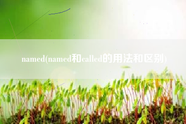 named(named和called的用法和区别) - 精英怪