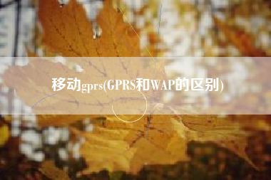 移动gprs(GPRS和WAP的区别) - 精英怪