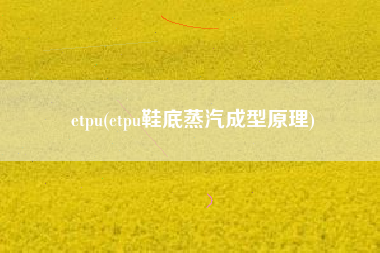 etpu(etpu鞋底蒸汽成型原理) - 精英怪