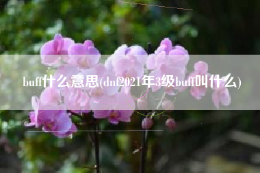 buff什么意思(dnf2021年3级buff叫什么) - 精英怪