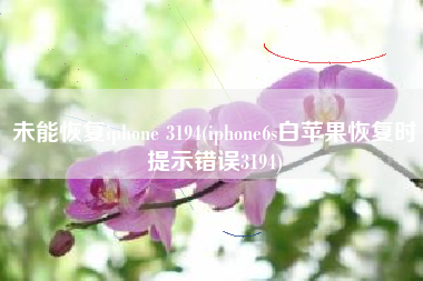 未能恢复iphone 3194(iphone6s白苹果恢复时提示错误3194) - 精英怪